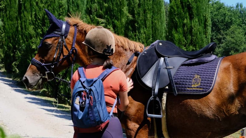 Chianti: Horseback Riding Through Vineyards and Woods - The Practicalities: What You Need to Know