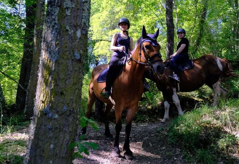 Chianti: Horseback Riding Through Vineyards and Woods - Is This Tour Right for You?