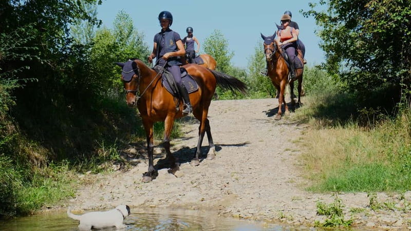 Chianti: Horseback Riding Through Vineyards and Woods - Final Thoughts: Is It Worth It?