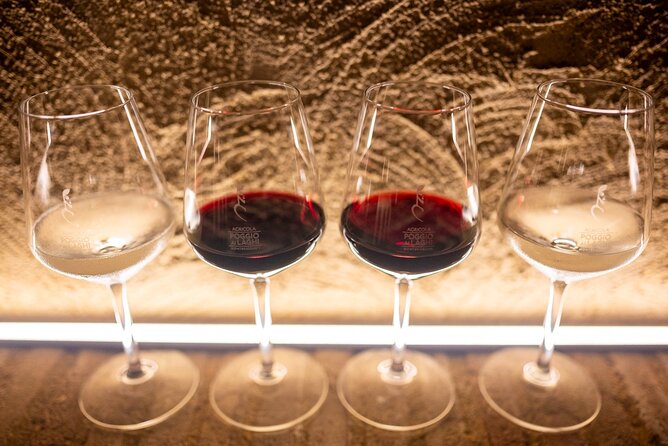 Chianti: Lunch with Wine Tasting at Poggio ai Laghi Winery - What to Expect from This Tour