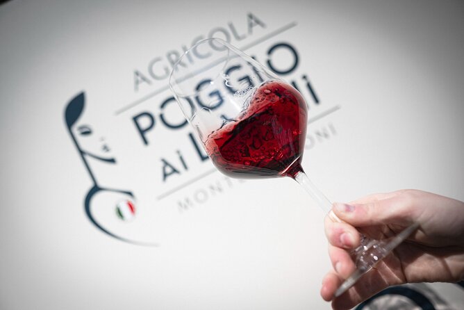 Chianti: Lunch with Wine Tasting at Poggio ai Laghi Winery - In-Depth Breakdown of the Experience
