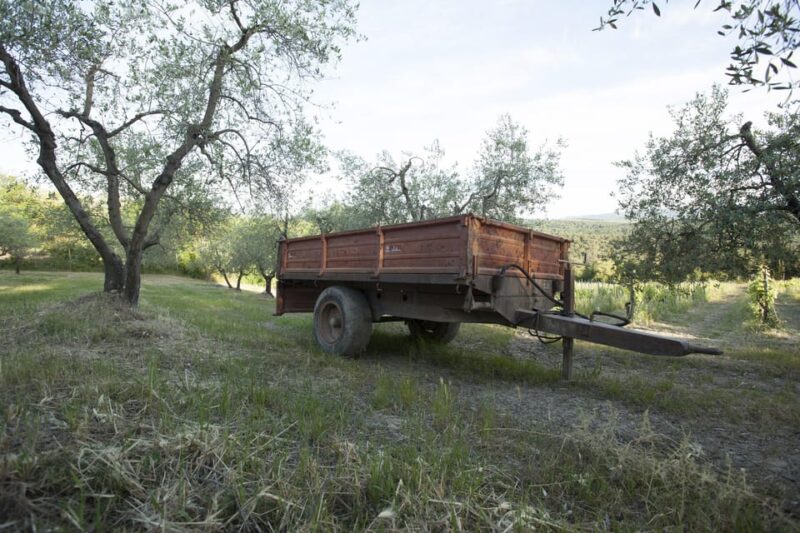 Chianti Organic wine tasting - Key Points