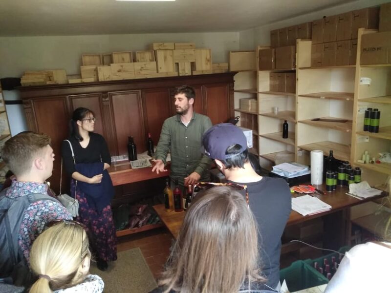 Chianti Organic wine tasting - Practical Details and Tips