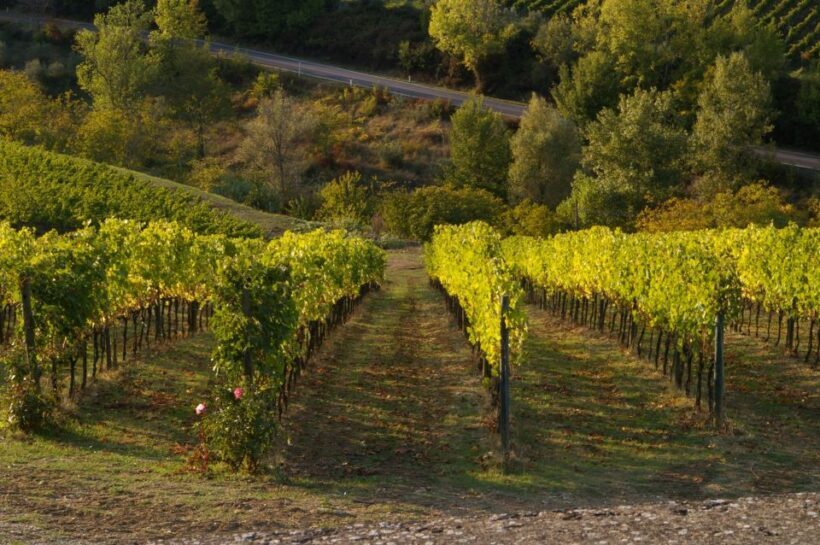Chianti, Siena, S. Gimignano & Wine Tasting Private Tour - A Closer Look at the Tour Experience