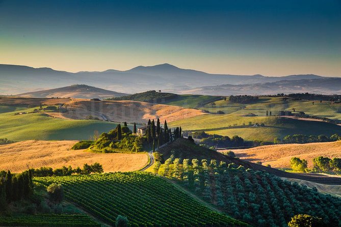 Chianti, SuperTuscan & San Gimignano - 2 wineries and light lunch - Who Will Love This Tour?