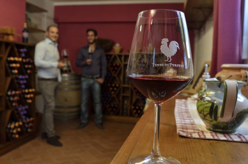 Chianti: Terre Di Perseto Winery Guided Tasting & Tour - Whats Included and How to Make the Most of It