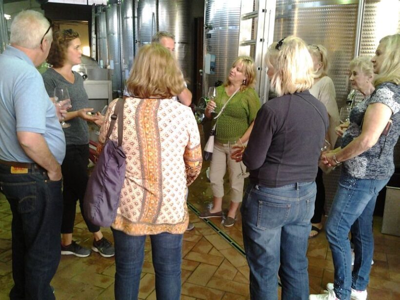 Chianti: Terre Di Perseto Winery Guided Tasting & Tour - Practical Tips for Travelers