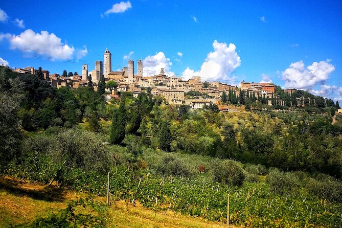 Chianti to San Gimignano E-bike Tour - Introduction: A Tour That Combines Adventure, Culture, and Flavors