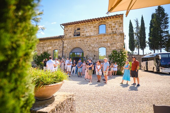 Chianti Vineyards Escape From Florence With Two Wine Tastings - Exploring Vineyards and Olive Groves