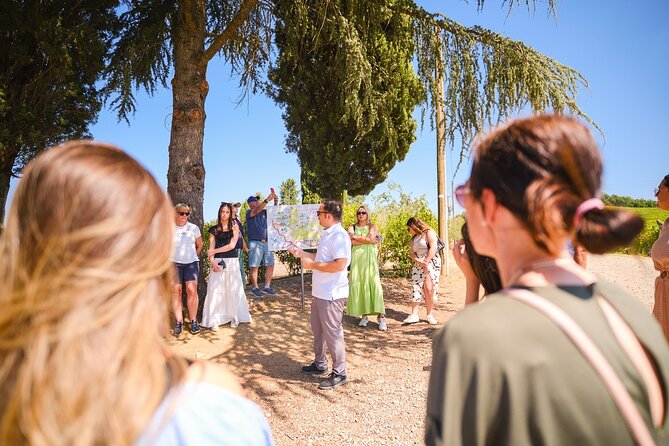 Chianti Vineyards Escape From Florence With Two Wine Tastings - Tastings and Local Food Pairings