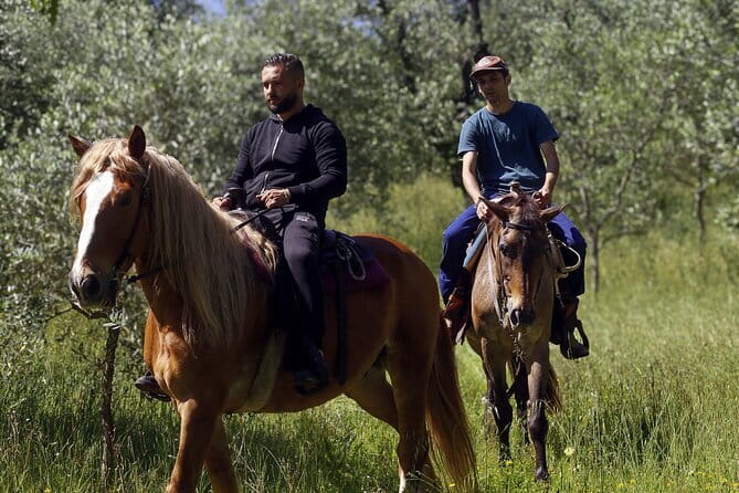 Chianti vineyards: Small-Group tour with wine tasting & Dinner - Final Thoughts