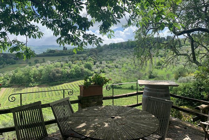 Chianti Vineyards Tours in Private Luxury Van From Florence - Driver Expertise and Tour Accessibility