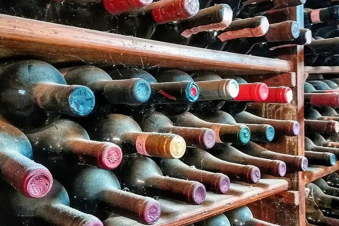 Chianti Vineyards Tours in Private Luxury Van From Florence - Explore the Picturesque Chianti Region