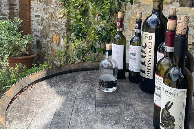 Chianti Vineyards Tours in Private Luxury Van From Florence - Discover Historic Vineyards and Medieval Villages