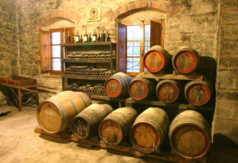Chianti: Wine and Olive Oil Tasting with Cellar Tour - Authentic Experiences to Expect