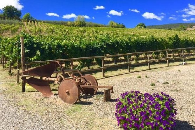 Chianti Wine and Vinci Half Day Small Group Tour From Lucca - Tour Logistics