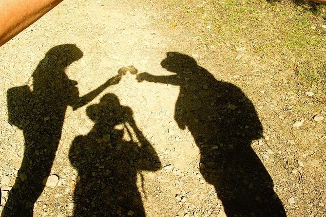 Chianti Wine and Vinci Half Day Small Group Tour From Lucca - Traveler Reviews