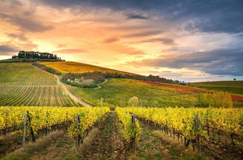 Chianti Wine Helipanoramic Flight Tour - An In-Depth Look at the Experience