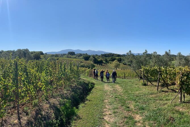 Chianti Wine Tasting Tour from Florence (2 Wineries) - Practical Tips for Your Tour
