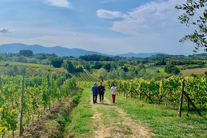 Chianti Wine Tasting Tour from Florence (2 Wineries) - Practical Tips for Bookings and Planning