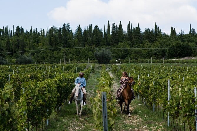 Chianti Wine Tastings at Sunset Day Trip from Florence - The Bottom Line