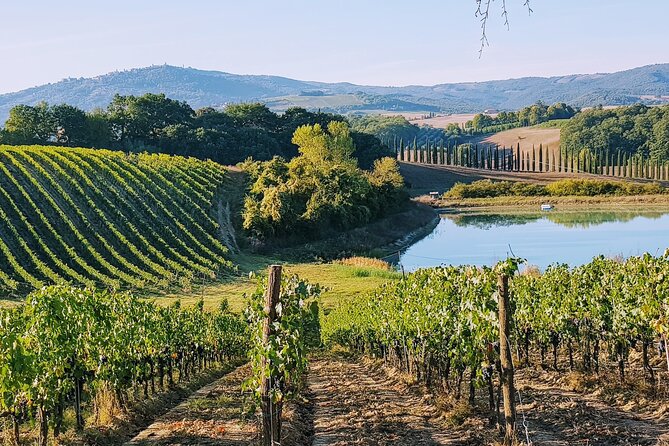 Chianti Wine Tastings at Sunset Day Trip From Florence - Included Features