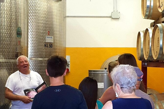 Chianti Wine Tastings at Sunset Day Trip From Florence - Tour Experience