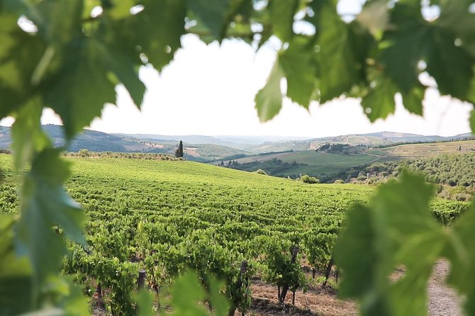 Chianti Wine Tour From Florence - Included Experiences