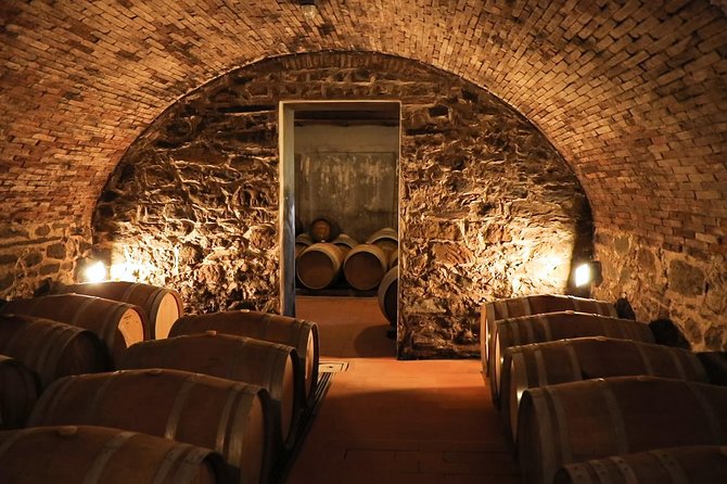 Chianti Wine Tour From Florence - Guest Testimonials