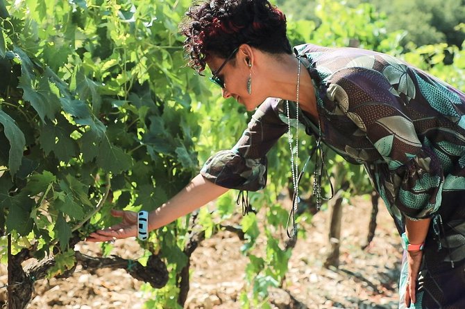 Chianti Wine Tour From Florence - The Sum Up