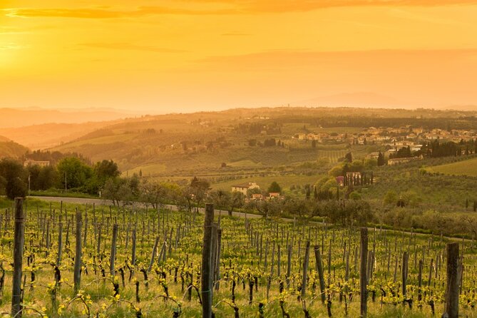 Chianti Wine Tour From Florence to San Gimignano With 2 Wineries - Discovering the Medieval Village of San Gimignano