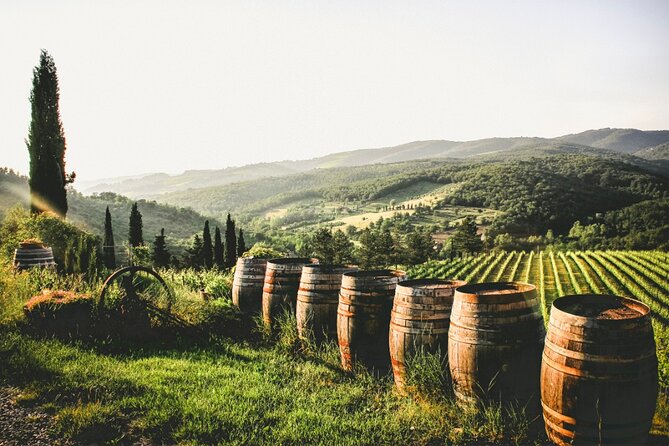 Chianti Wine Tour From Florence to San Gimignano With 2 Wineries - Learning From Local Winemakers