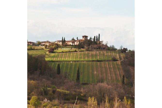 Chianti Wine Tour From Florence to San Gimignano With 2 Wineries - Personalized Guest Experiences