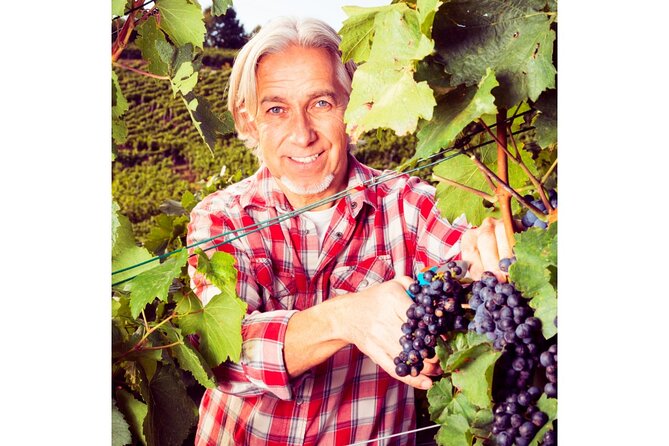 Chianti Wine Tour From Florence to San Gimignano With 2 Wineries - Booking and Cancellation Details