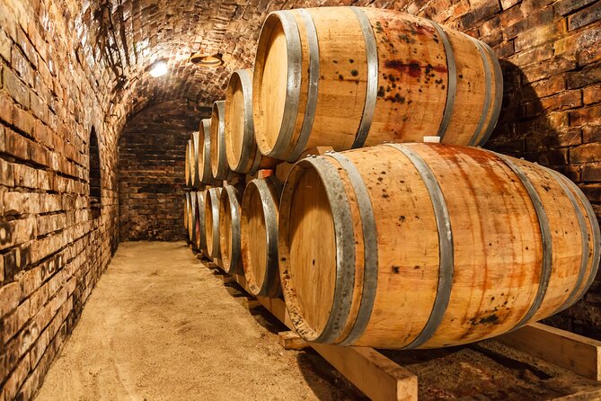 Chianti Wine Tour in Tuscany From Florence - Guest Feedback and Testimonials