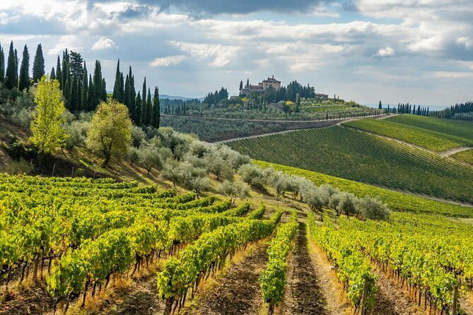 Chianti Wine Tour - Private Wine experience in Tuscany Countryside - Discovering the Charm of the Chianti Wine Tour in Tuscany