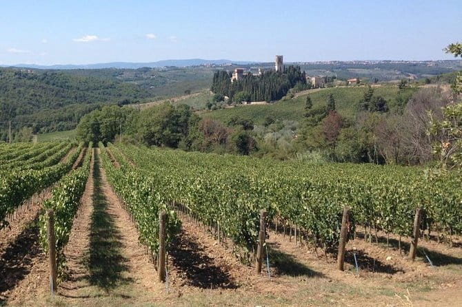 Chianti Wine Tour - Private Wine experience in Tuscany Countryside - What Makes This Tour Stand Out?
