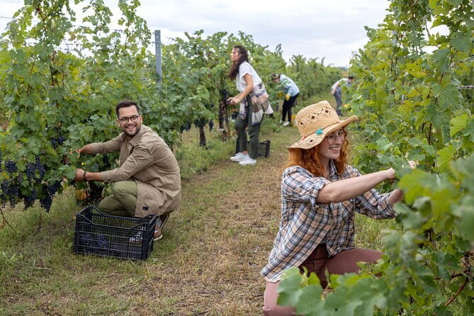 Chianti Wine Tour: Tuscan Reds - The Bottom Line