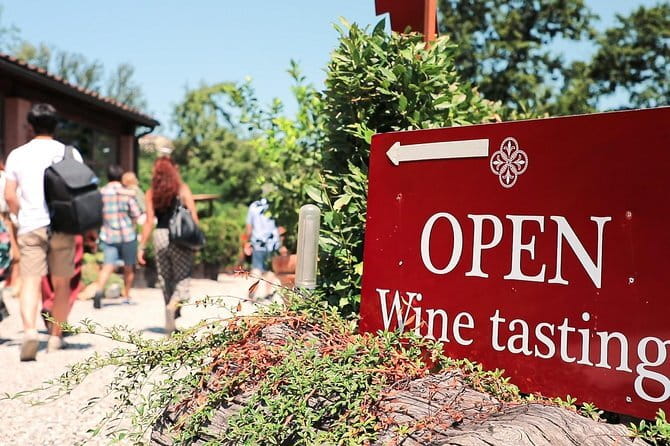 Chianti Wine Tour: Two Wine Tastings, Vineyards and Cellar Visit - Who is this tour best for?
