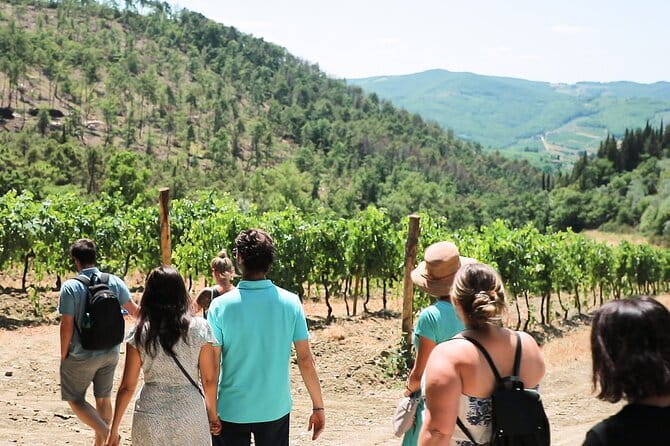 Chianti Wine Tour: Two Wine Tastings, Vineyards and Cellar Visit - What the Reviews Say