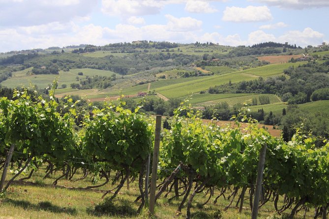 Chianti Wine Tour With Tastings Semi-Private Experience - Key Points