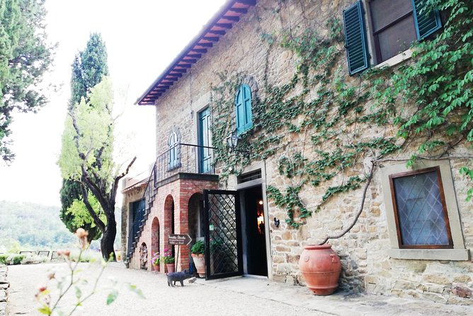 Chianti Wine Tour With Tuscan Lunch Open Top Van - Visiting the Chianti Wineries