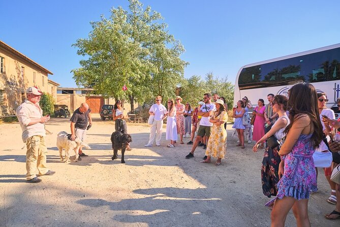 Chianti Wineries Tour with 7 Wine Tastings from Florence - Final Thoughts