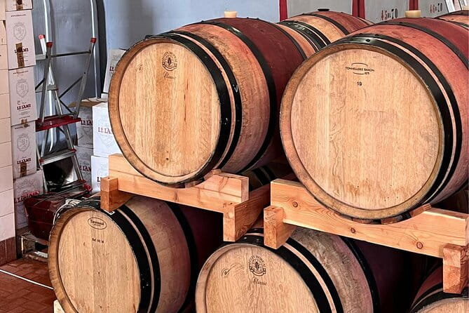 Chianti Winery + Brolio Castle Private Tour - Key Points