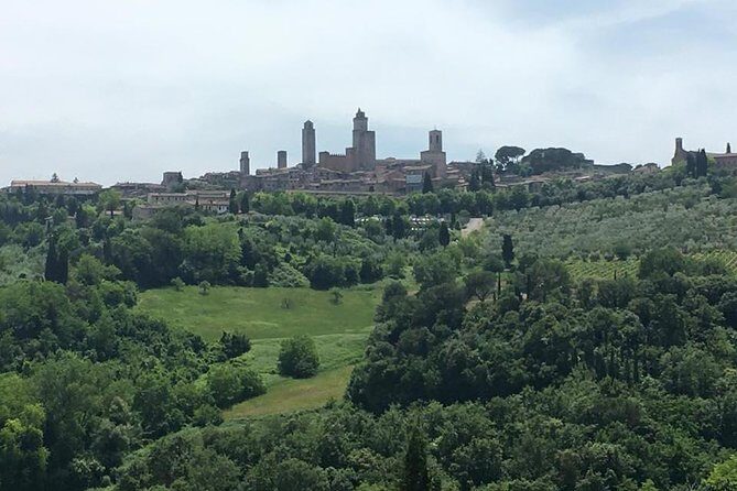 Chianti Wines and San Gimignano Tour from Florence (1 Winery) - In-Depth Analysis of the Experience