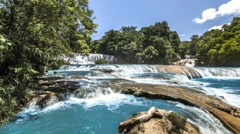 Chiapas: 4-Day Highlight Tour - Who Will Love This Tour?