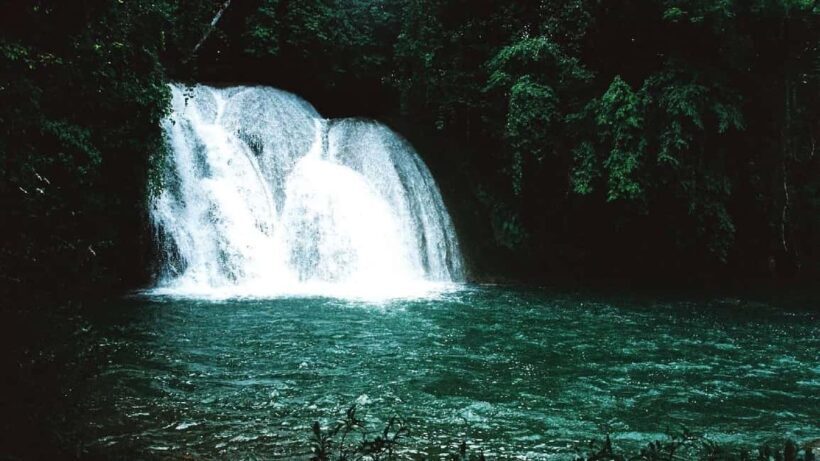 Chiapas: 4-Day Highlight Tour - Key Points