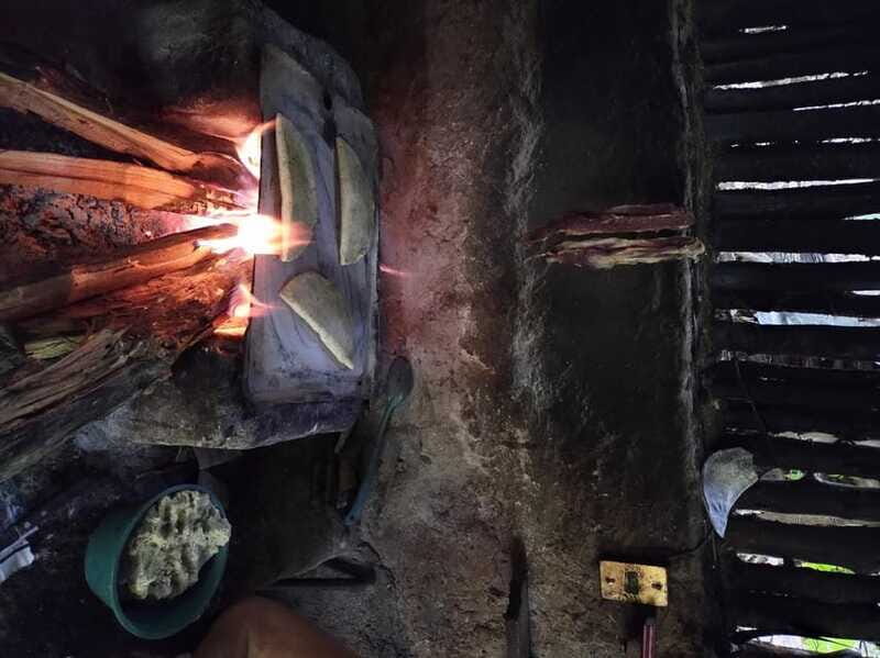 Chiapas Highlands: Ancient Rituals and Traditions Tour - Logistics and Experience Details