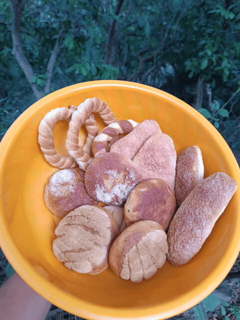 Chiapas: Immersive Zoque Culinary Experience - An In-Depth Look at the Tour