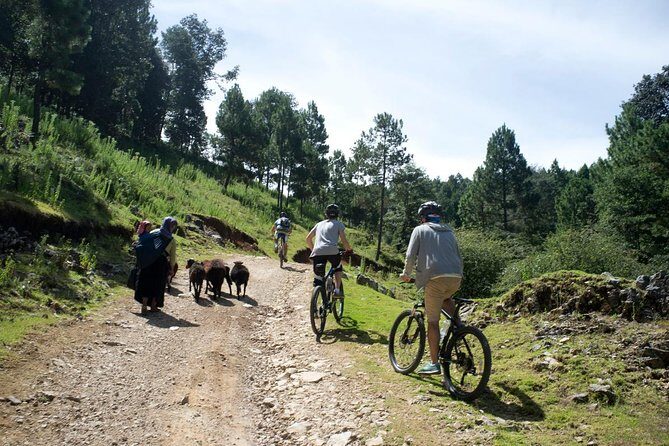 Chiapas Indigenous Villages and Mountain Bike Tour - Who Will Appreciate This Tour?